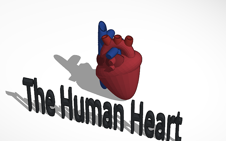 3D design heart - Tinkercad