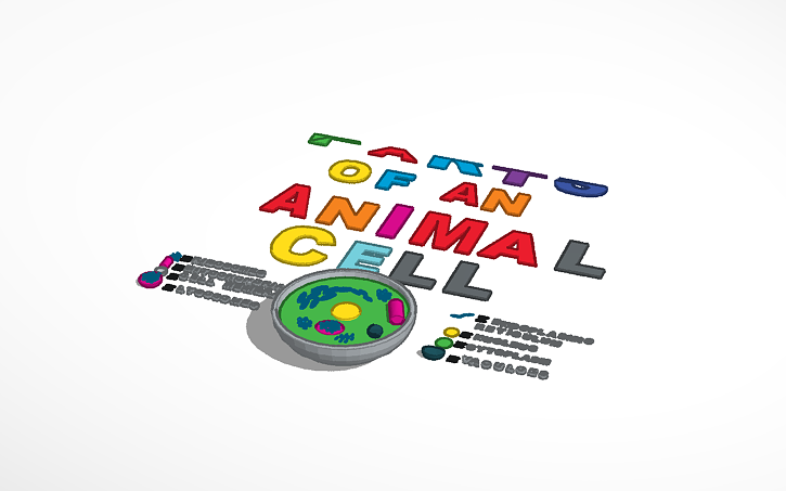 3D design Animal Cell - Tinkercad