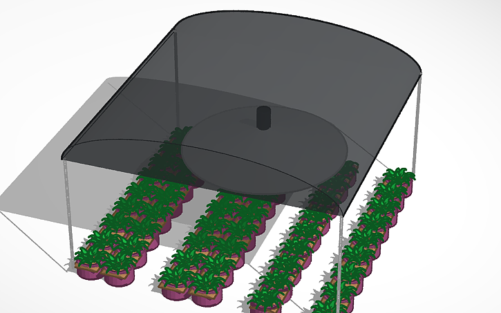 3D design Crops - Tinkercad