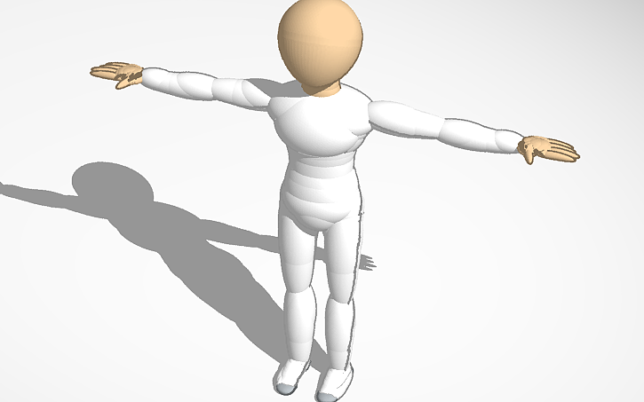 3D design A good human template? - Tinkercad