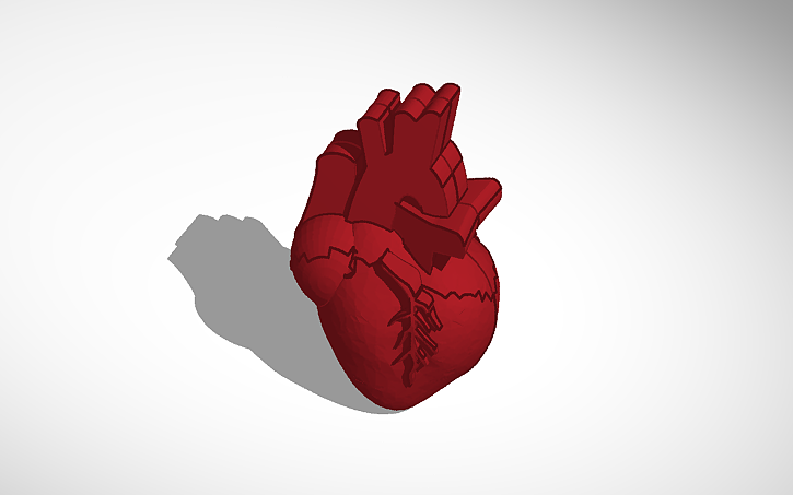 3D design heart - Tinkercad