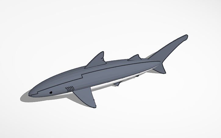 3D design Sketch Fin Shark - Tinkercad