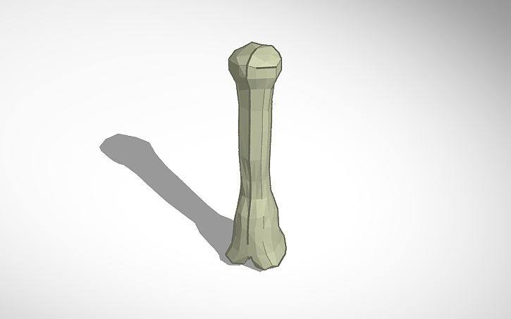 3D design 3D Printed Bone - Tinkercad