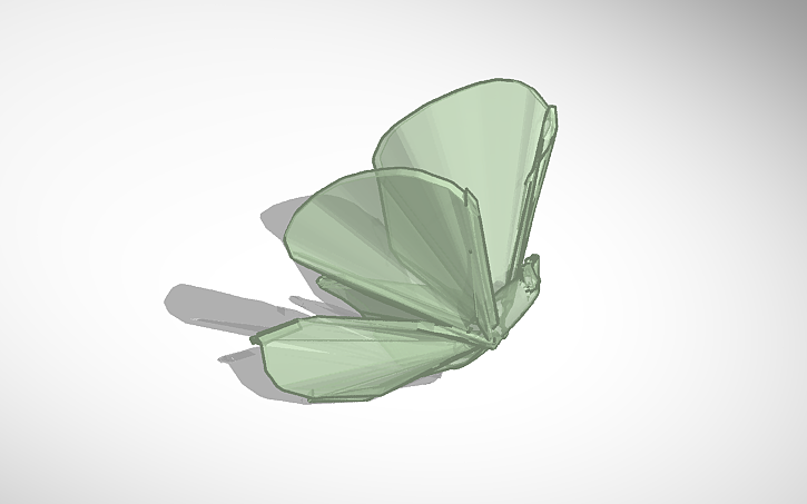 3D design Moth - Tinkercad