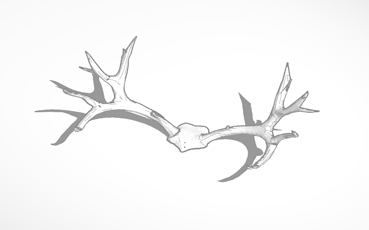 3D design Deer Antlers - Tinkercad