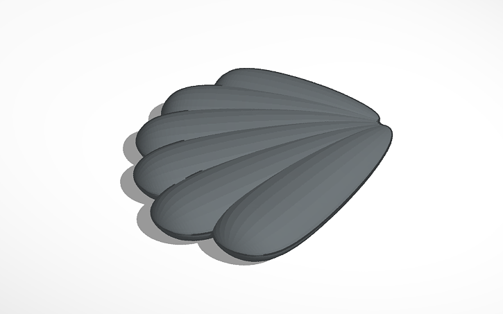 3D design Copy of How to Create a Clam Shell - Tinkercad