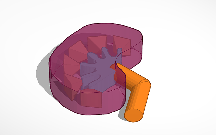 3D design Kidneys - Tinkercad
