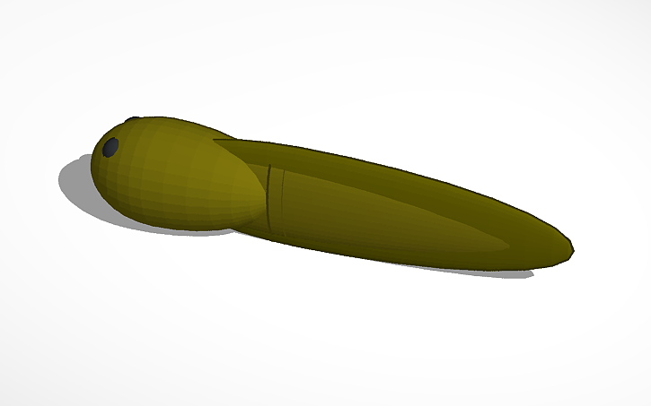 3D design Tadpole - Tinkercad