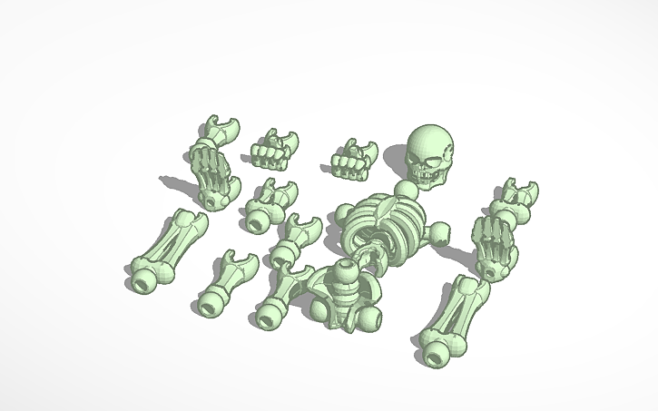 3D design skeleton parts - Tinkercad