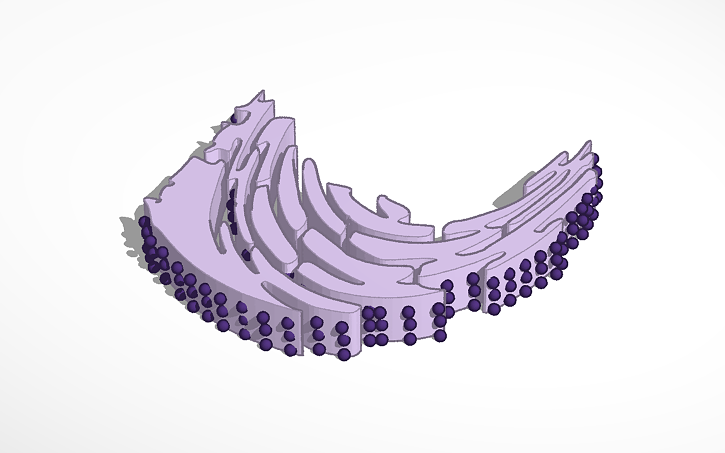 3D design Rough Endoplasmic Reticulum - Tinkercad