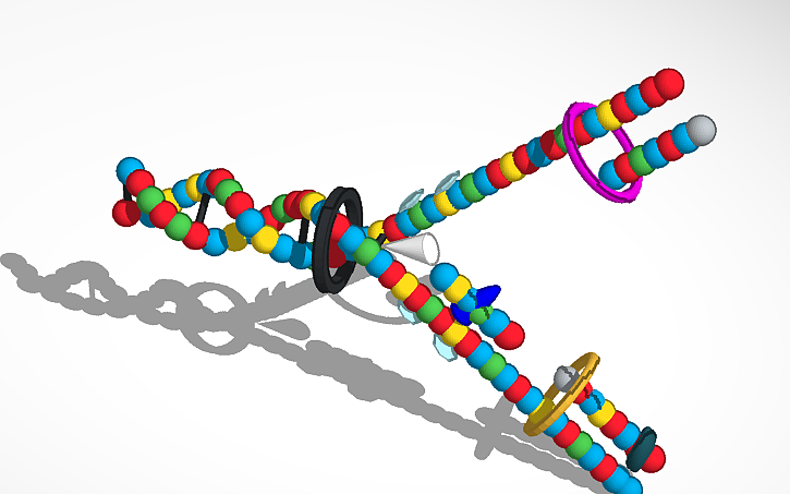 3D design DNA Replication - Tinkercad