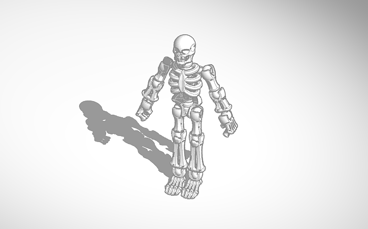 3D design Human Body - Tinkercad