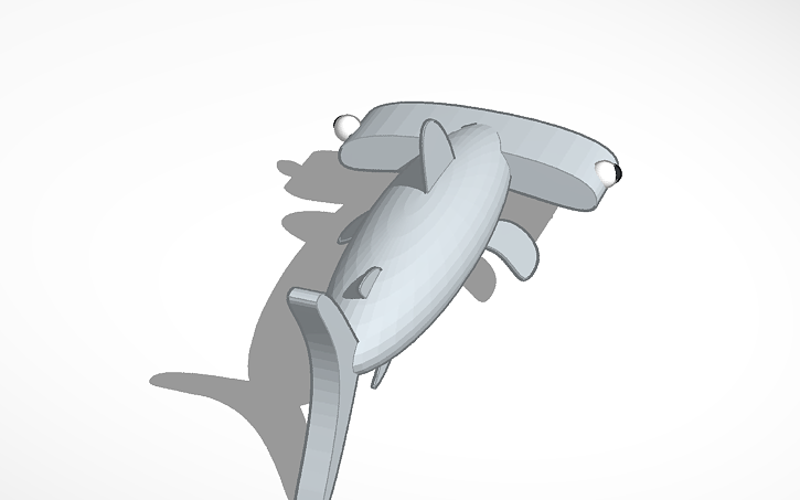 3D design Hammerhead Shark - Tinkercad
