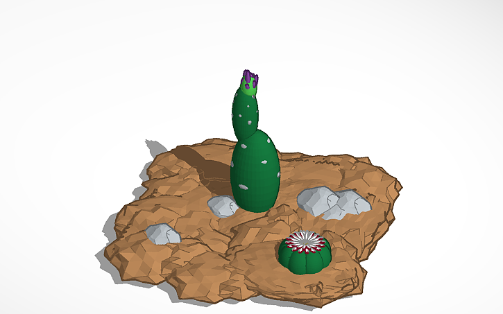 3D design Cactus - Tinkercad