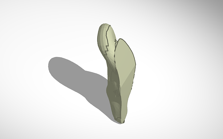 3D design Human Ear - Tinkercad