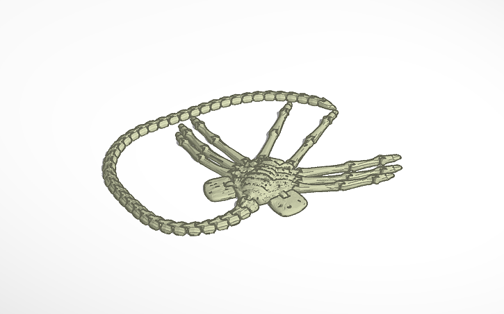 3D design Articulated Face Hugger - Tinkercad