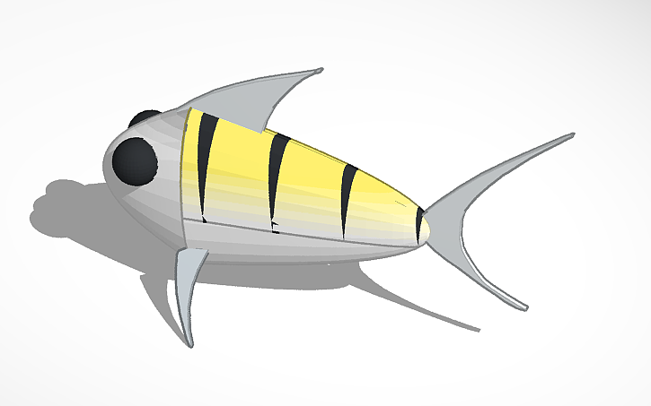 3D design FISH - day 5 - Tinkercad