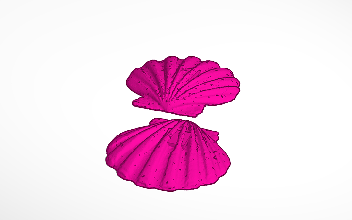 3D design Scallop Box - Tinkercad