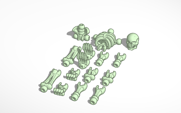 3D design Skeleton layout - Tinkercad