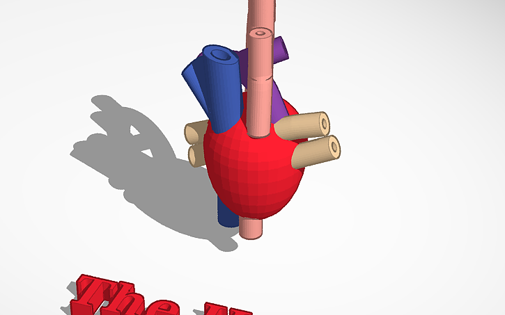 3D design 3D Heart - Tinkercad