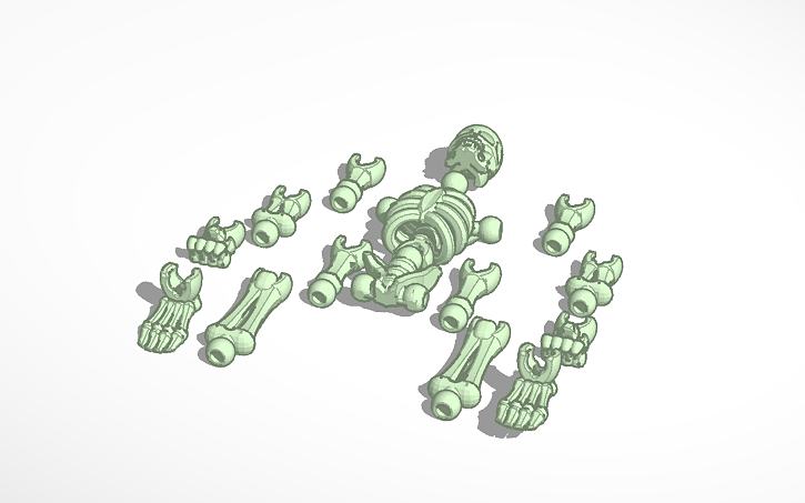 3D design complete skeleton - Tinkercad