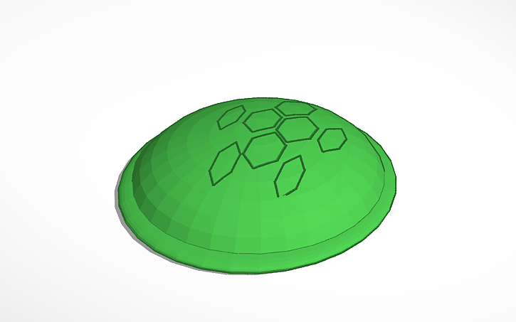 3D design turtle shell - Tinkercad