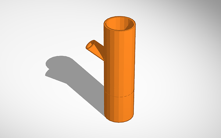 3D design Fruit seed receptacle - Tinkercad