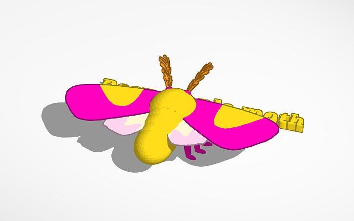 3D design Rosy maple moth - Tinkercad