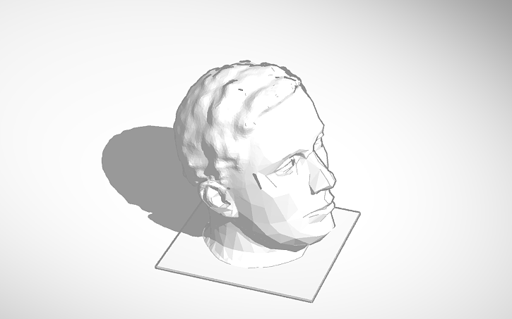3D design Face - Tinkercad