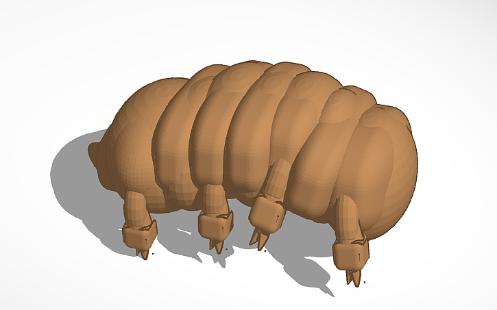 3D design Tardigrade - Tinkercad