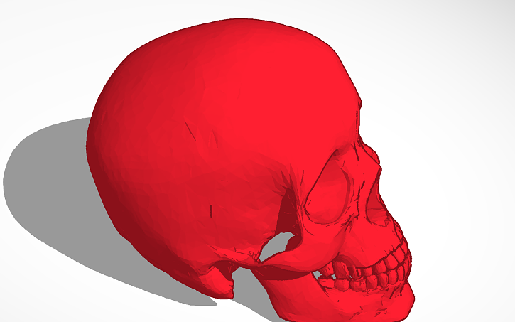 3D design tri skull - Tinkercad