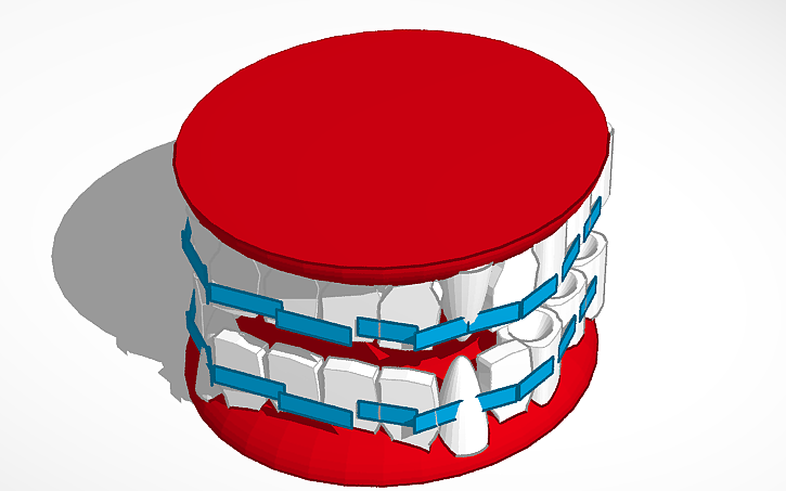 3D design Teeth with braces - Tinkercad