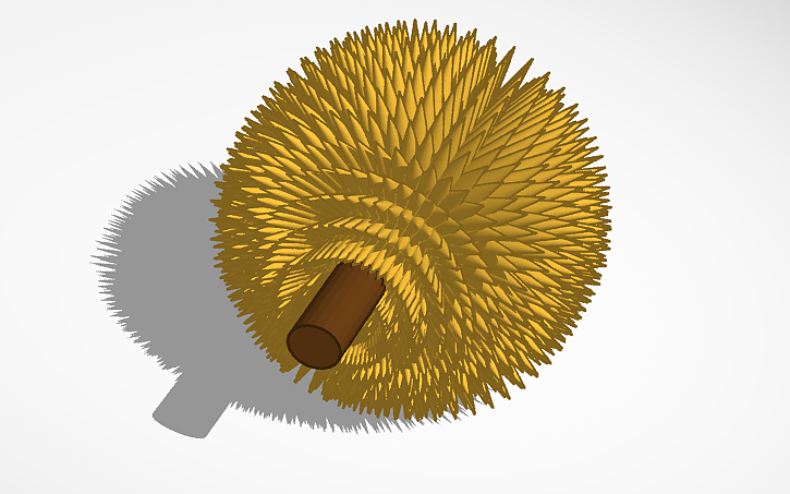 3D design Durian - Tinkercad