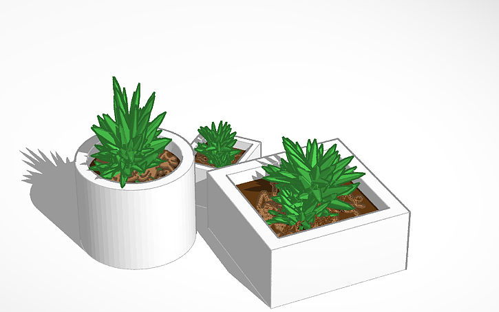 3D design Plant Pots - Tinkercad