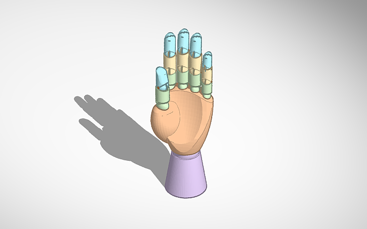 3D design Hand Mannequin - Tinkercad