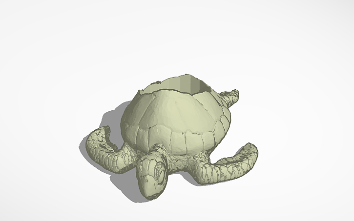 3D design Sea Turtle Planter - Tinkercad