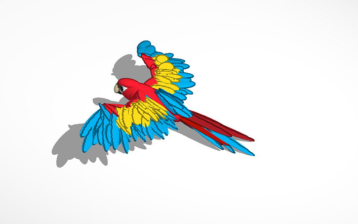 3D design Scarlet Macaw - Tinkercad