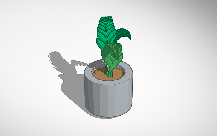 3D design maceta / planta - Tinkercad