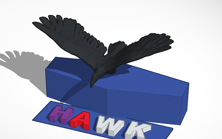 3D design hawk - Tinkercad