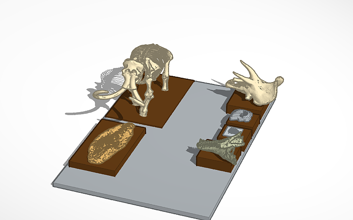 3D design museum - Tinkercad