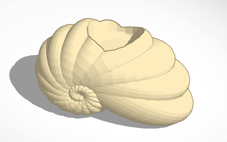 3D design snail shell - Tinkercad