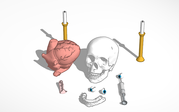 3D design Food/Human Body Parts - Tinkercad