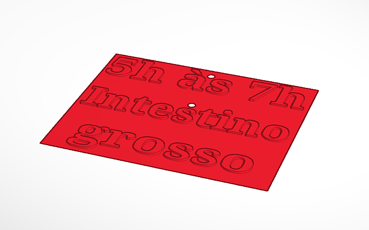 3D design Intestino grosso - Tinkercad