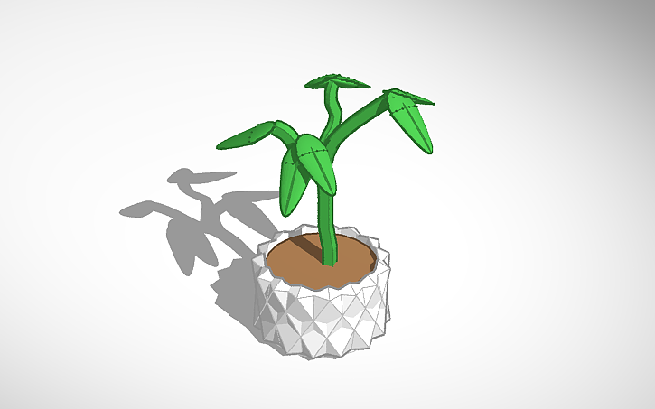 3D design Potted Plant - Tinkercad