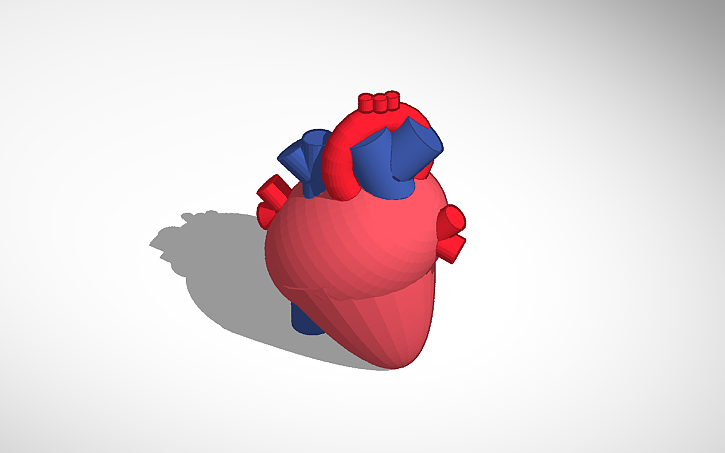 3D design Heart - Tinkercad