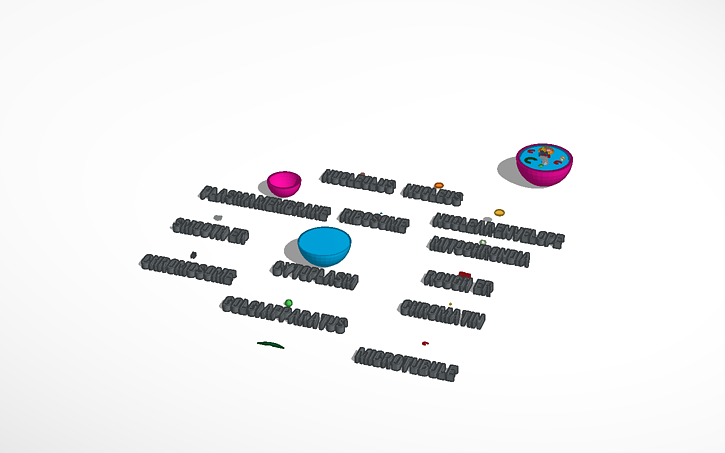 3D design Animal Cell - Tinkercad