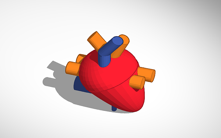 3D design human heart - Tinkercad