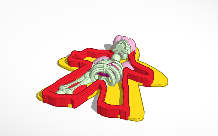 3D design human body - Tinkercad