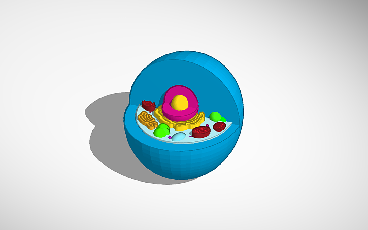 3D design animal cell - Tinkercad