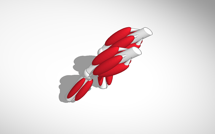 3D design HUMAN LEG - Tinkercad